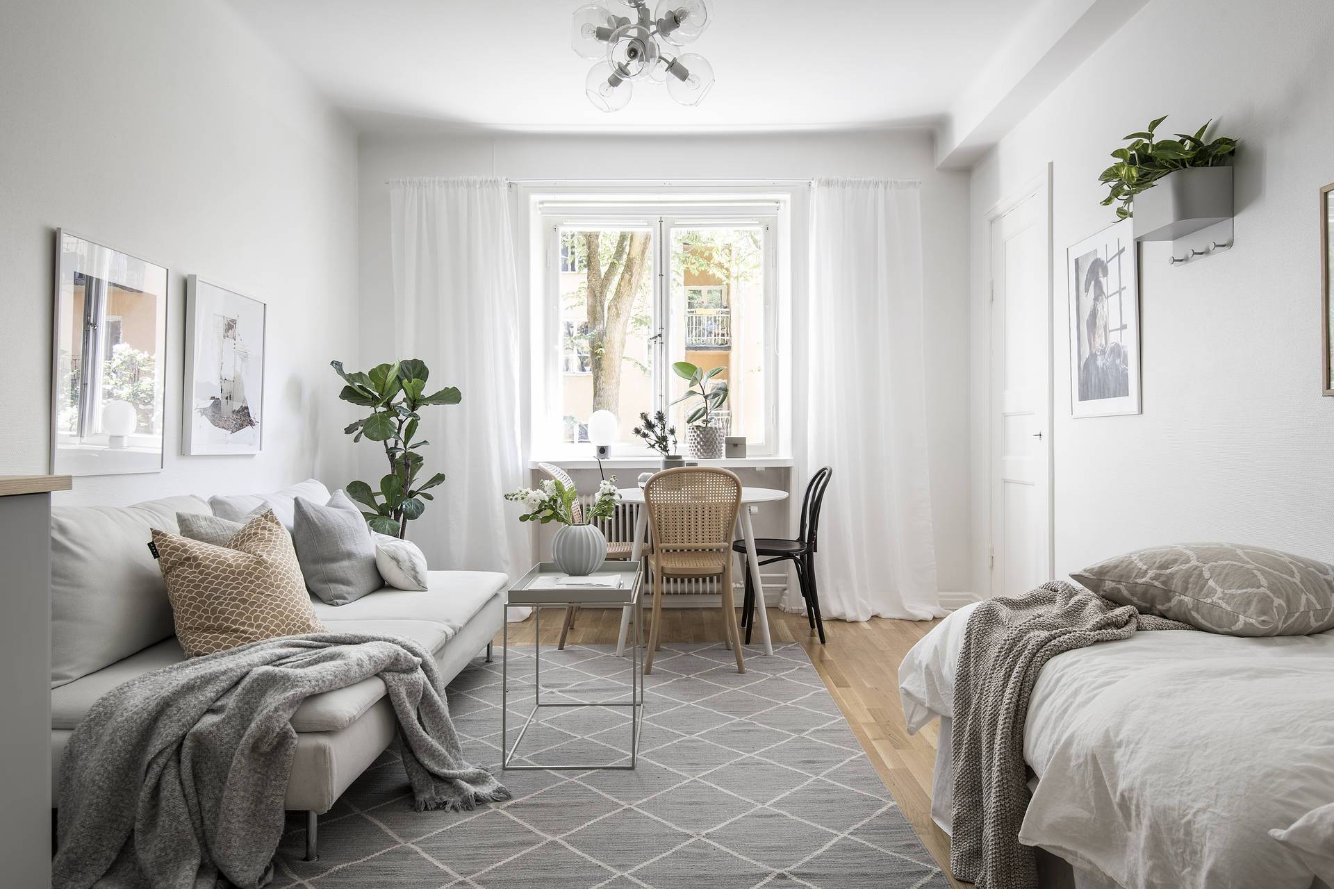 Comment aménager et décorer un petit studio?