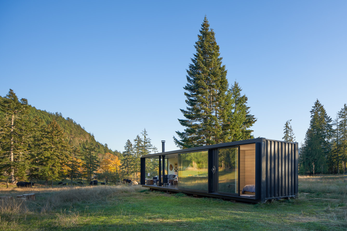 Une mini maison container de 40m2 à l'intérieur design