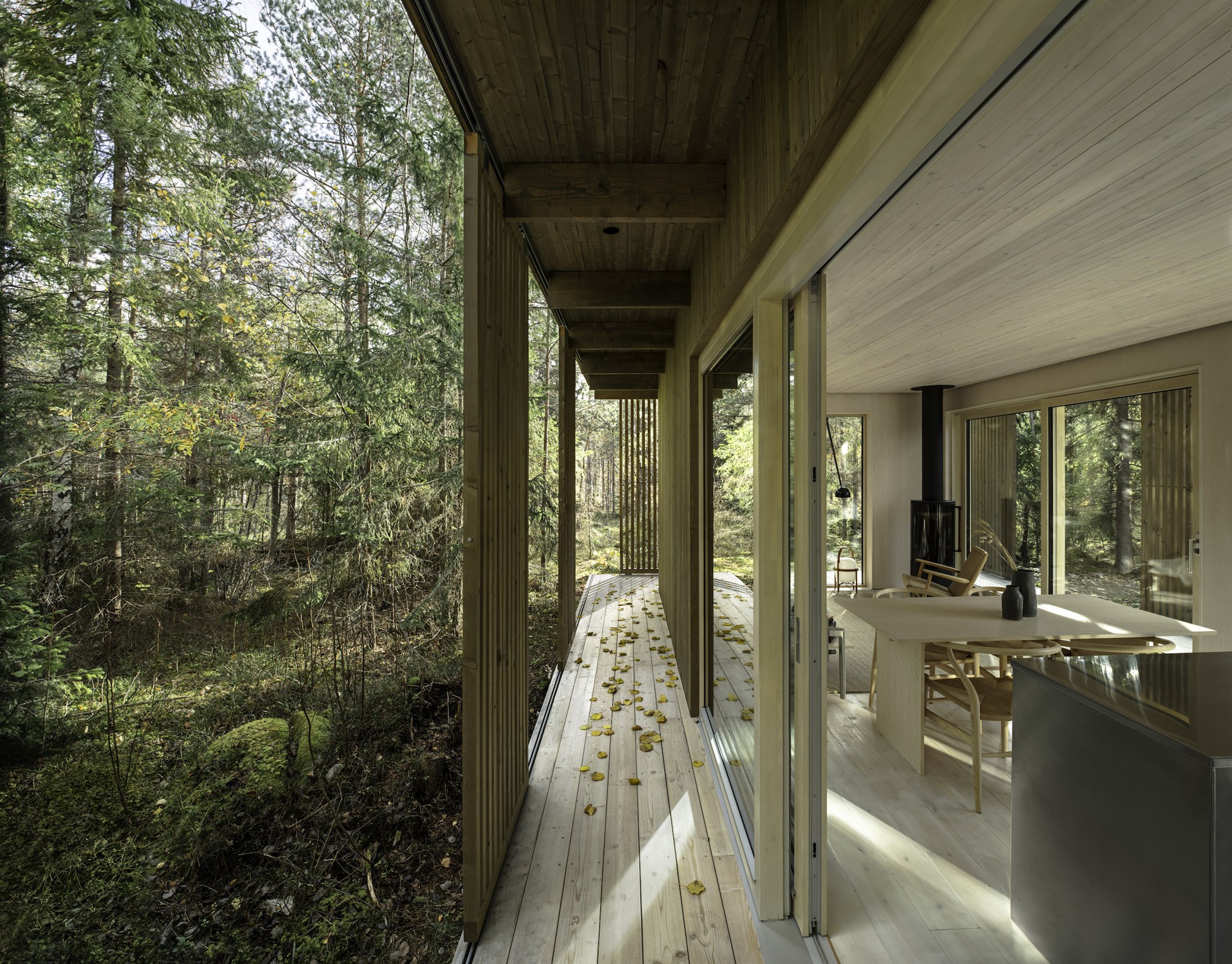 Une mini maison de 42m2 construite par une architecte dans la forêt