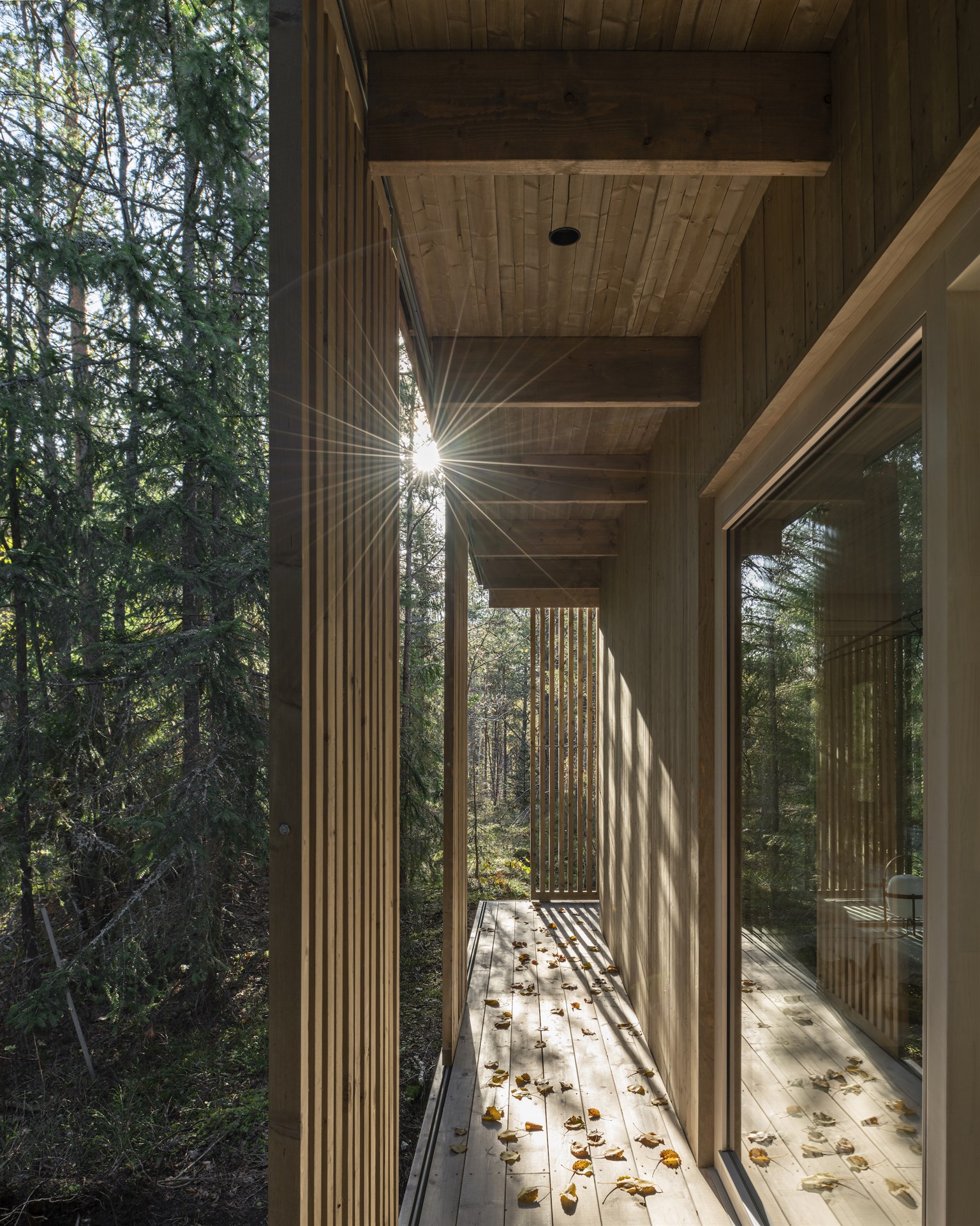 Une mini maison de 42m2 construite par une architecte dans la forêt