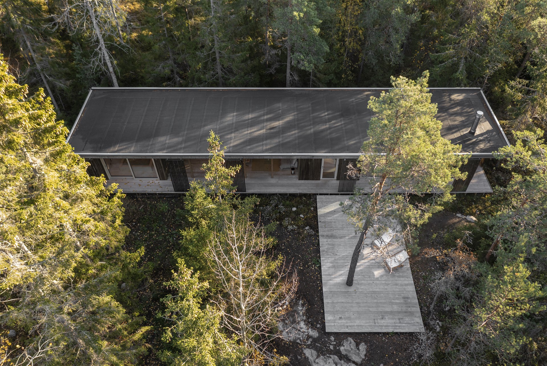 Une mini maison de 42m2 construite par une architecte dans la forêt