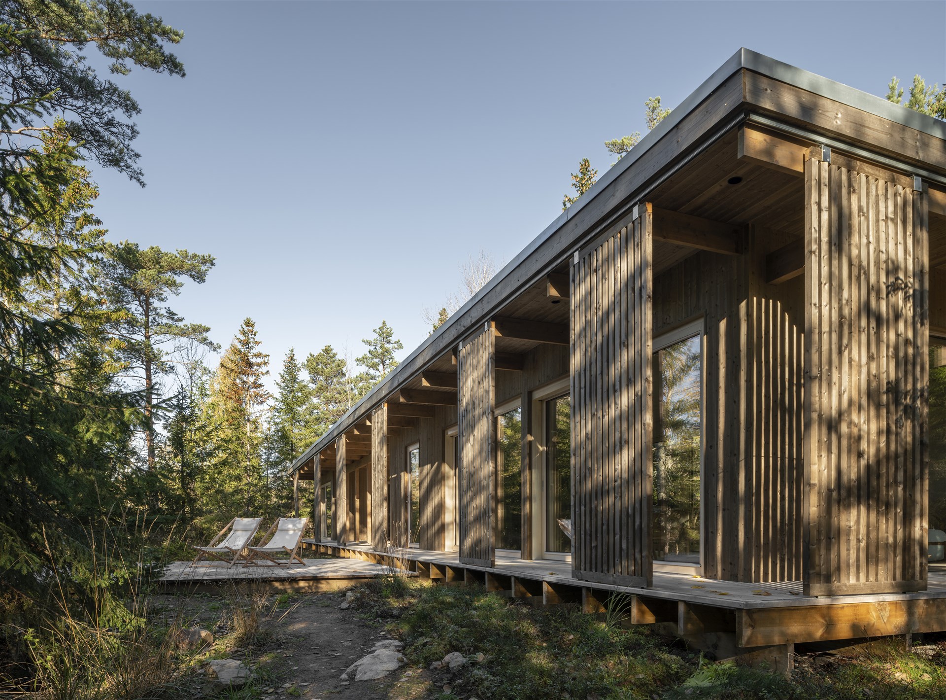 Une mini maison de 42m2 construite par une architecte dans la forêt