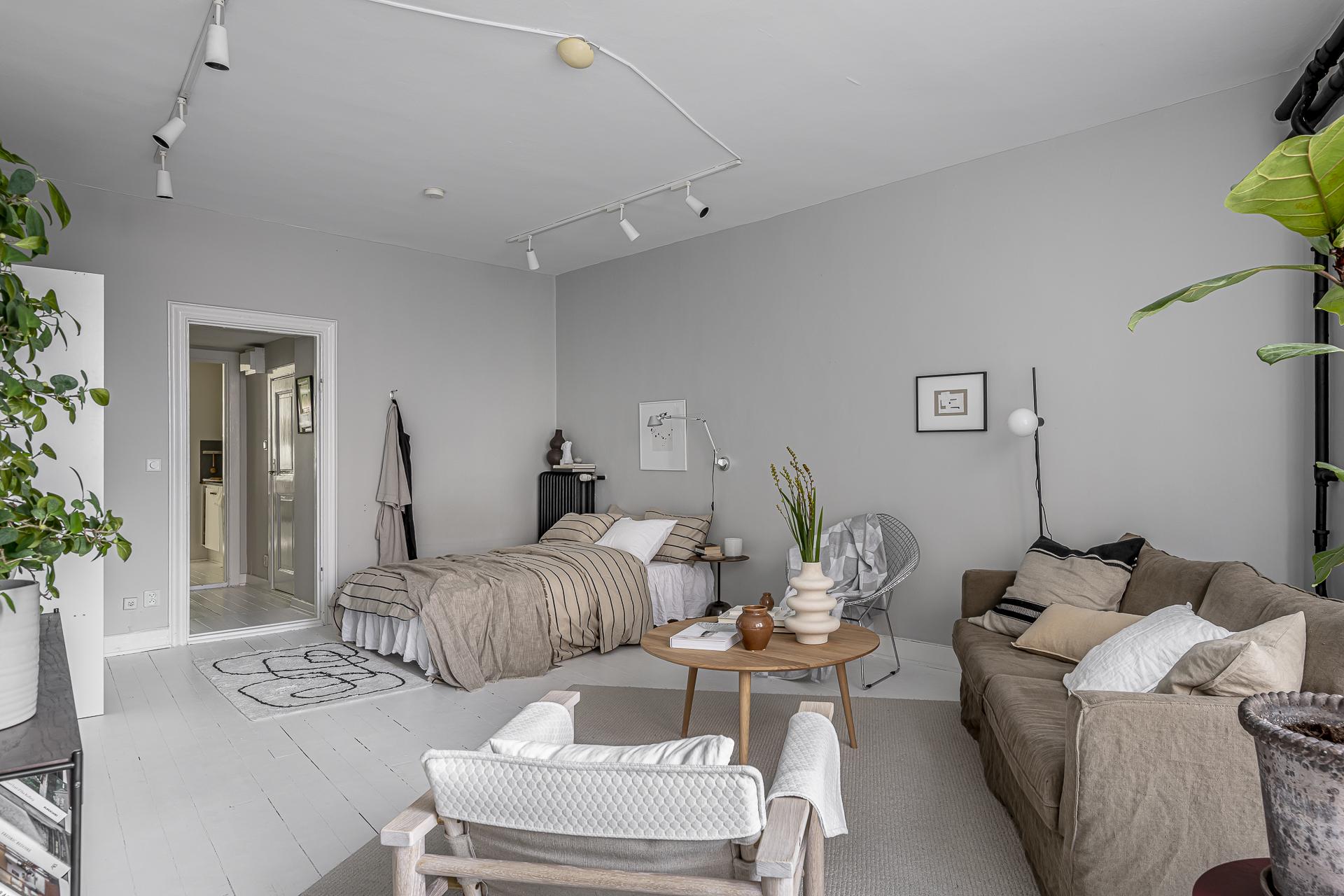 Un luxueux studio de 50m2 avec une grande cuisine séparée