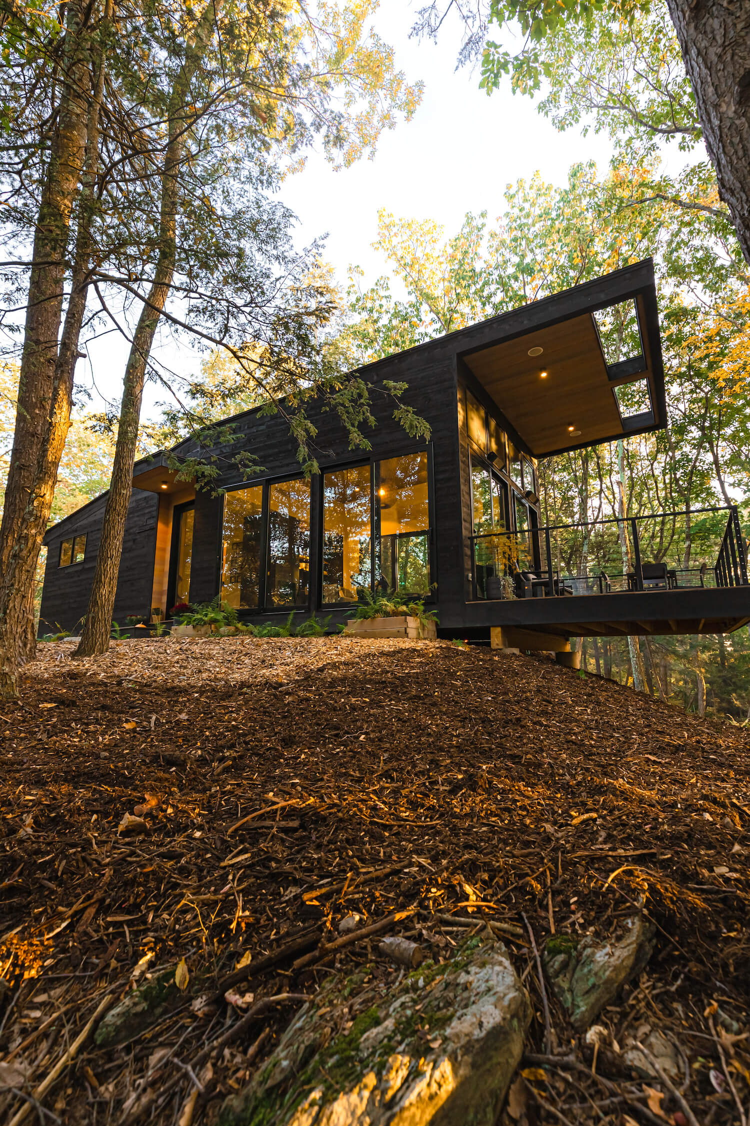 Une cabane contemporaine de 75m2 au milieu des arbres