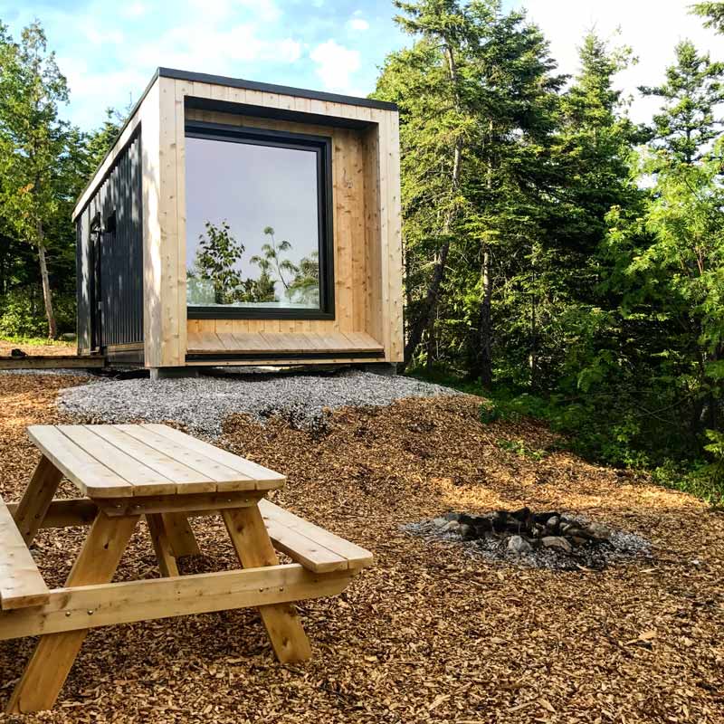 Une mini maison container bardée de bois avec des grandes baies vitrées